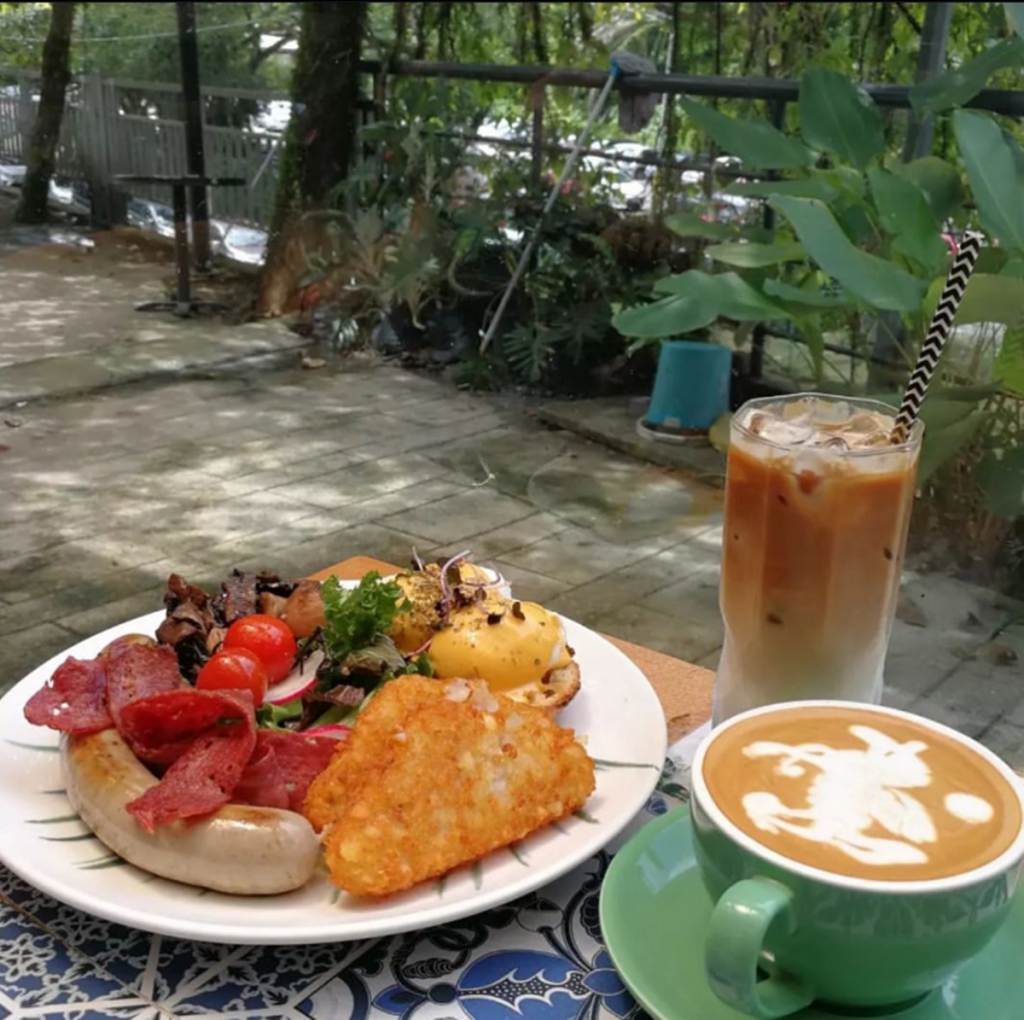 pokok kl | Beautifulnara -Terkini dan Sensasi