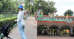“Kesian Parents Dan Anak-Anak” – Nak ‘Support’ Zoo Negara Tapi Apa Pun ...