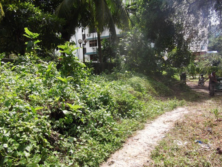 kawasan semak samun | Beautifulnara -Terkini dan Sensasi