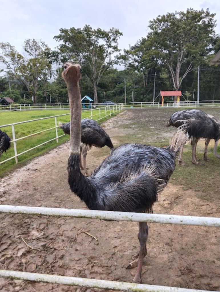 Hujung Tahun Telah Tiba, Ini 5 Tempat Yang Menarik Untuk Bercuti Di ...