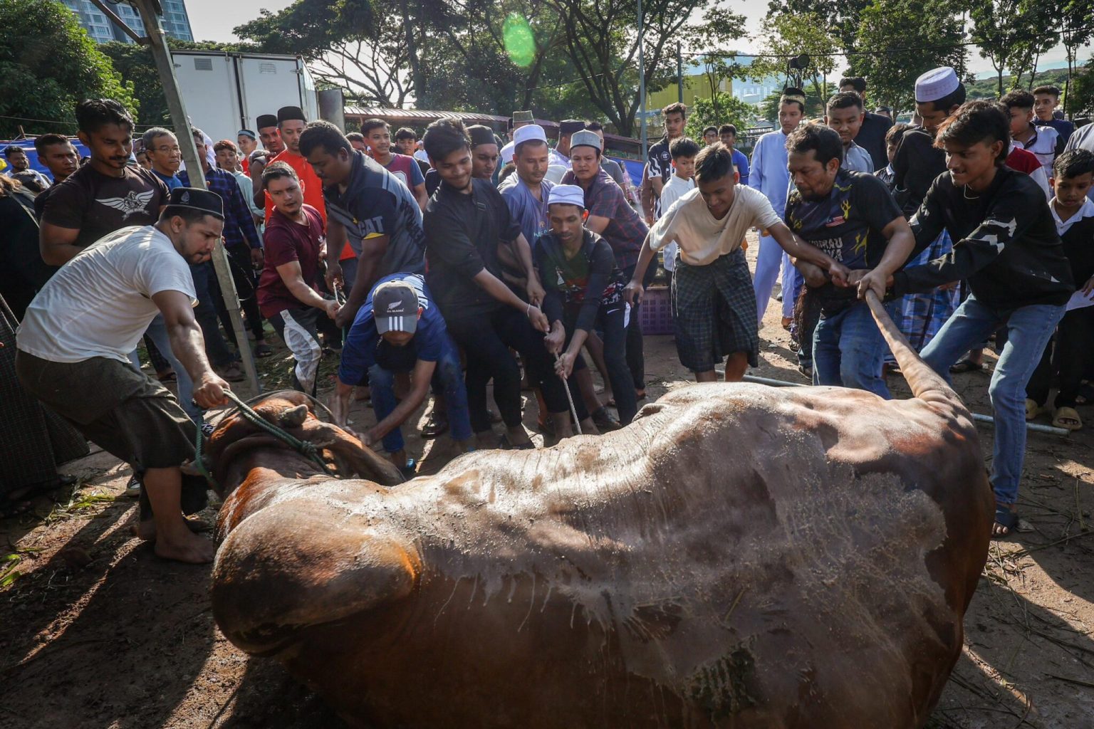 “Sumber Duit Dari Mana?” – Netizen Persoal Pelarian Rohingya Mampu ...
